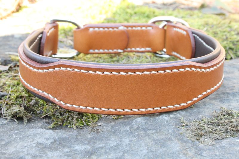 Collier chien semi étrangleur plat - création en cuir - Atelier Napoléon